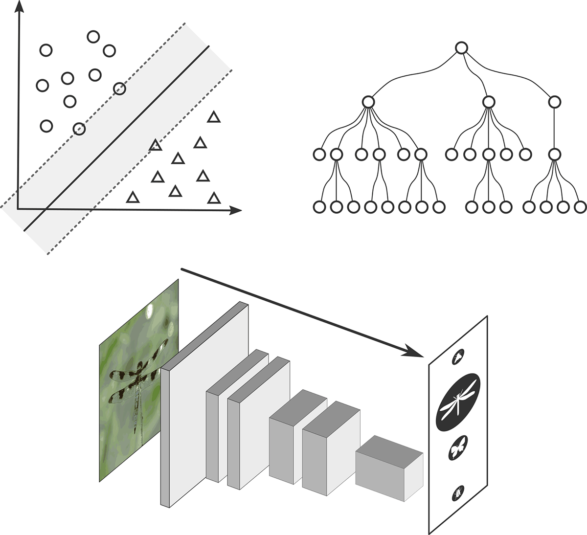 Künstliche Intelligenz – KInsecta