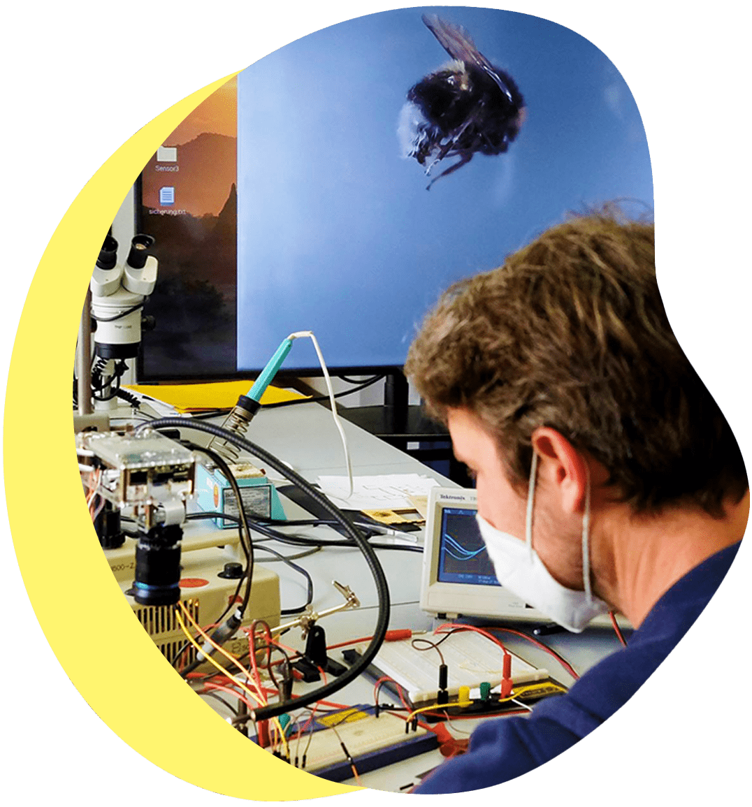 Sensorik – KInsecta