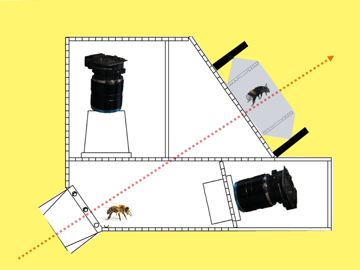 Sensorik – KInsecta