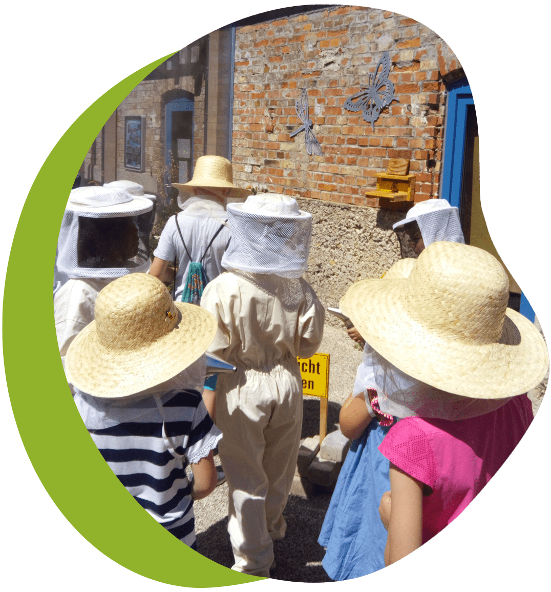 Insekten – KInsecta