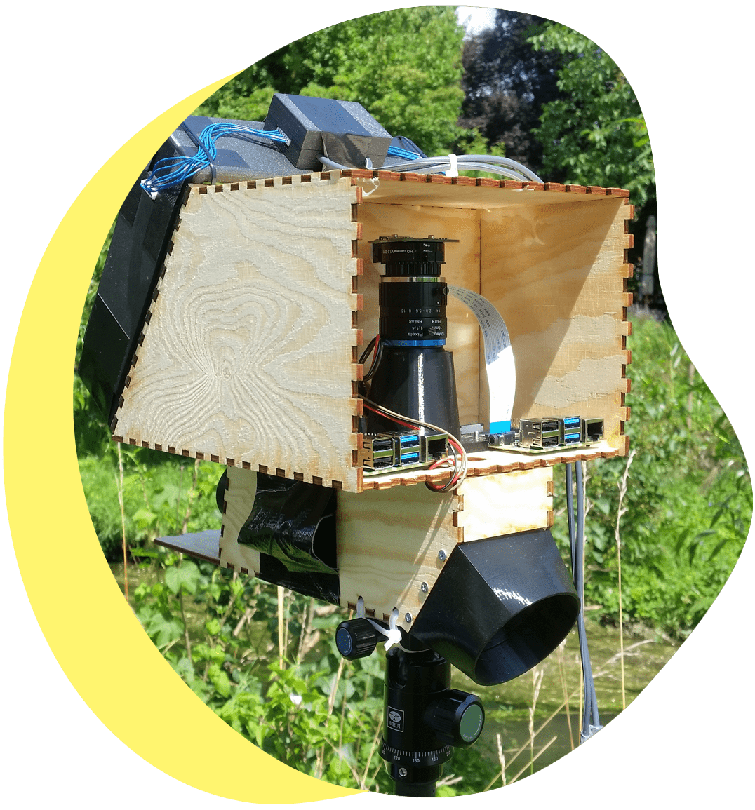 Sensorik – KInsecta