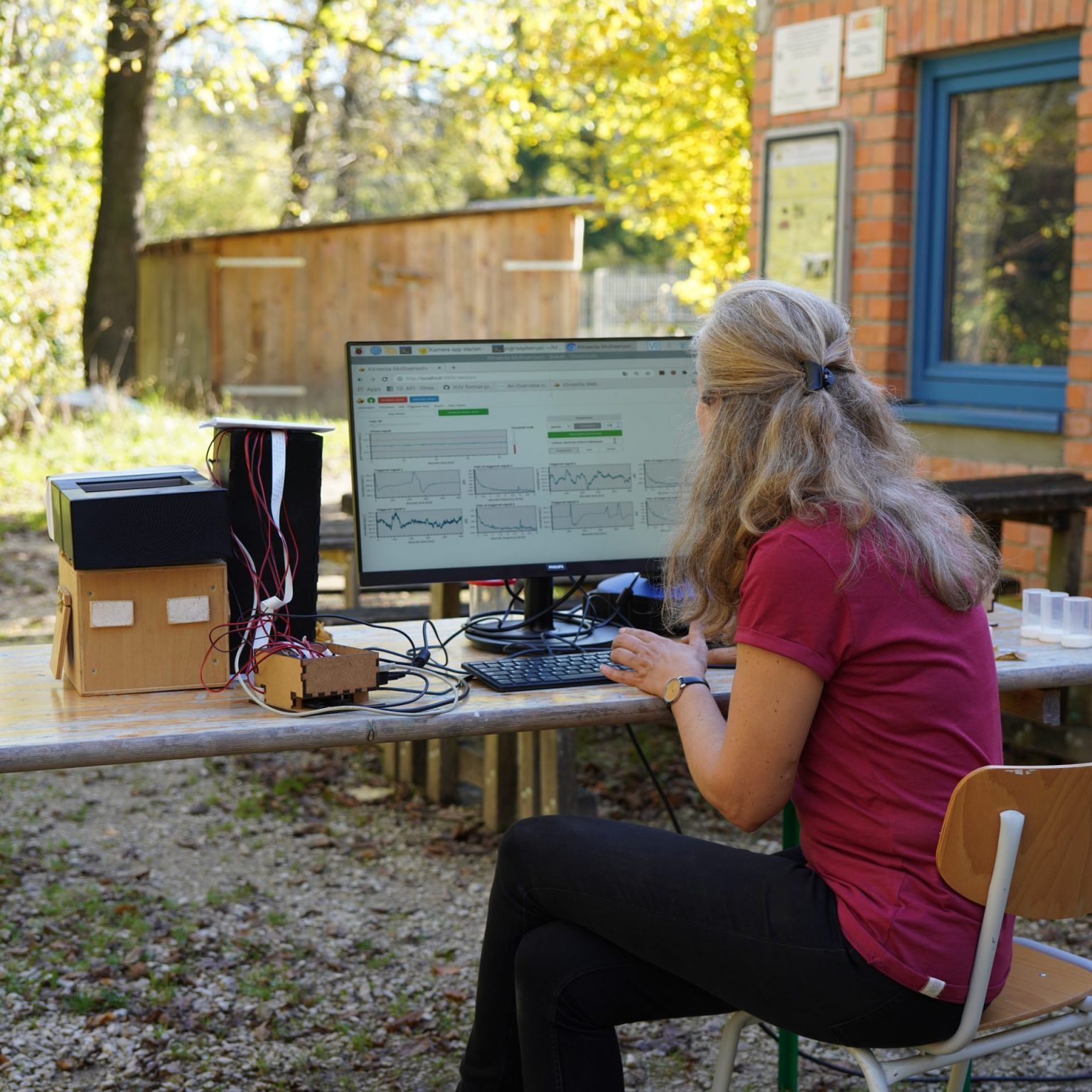 Projekt – KInsecta