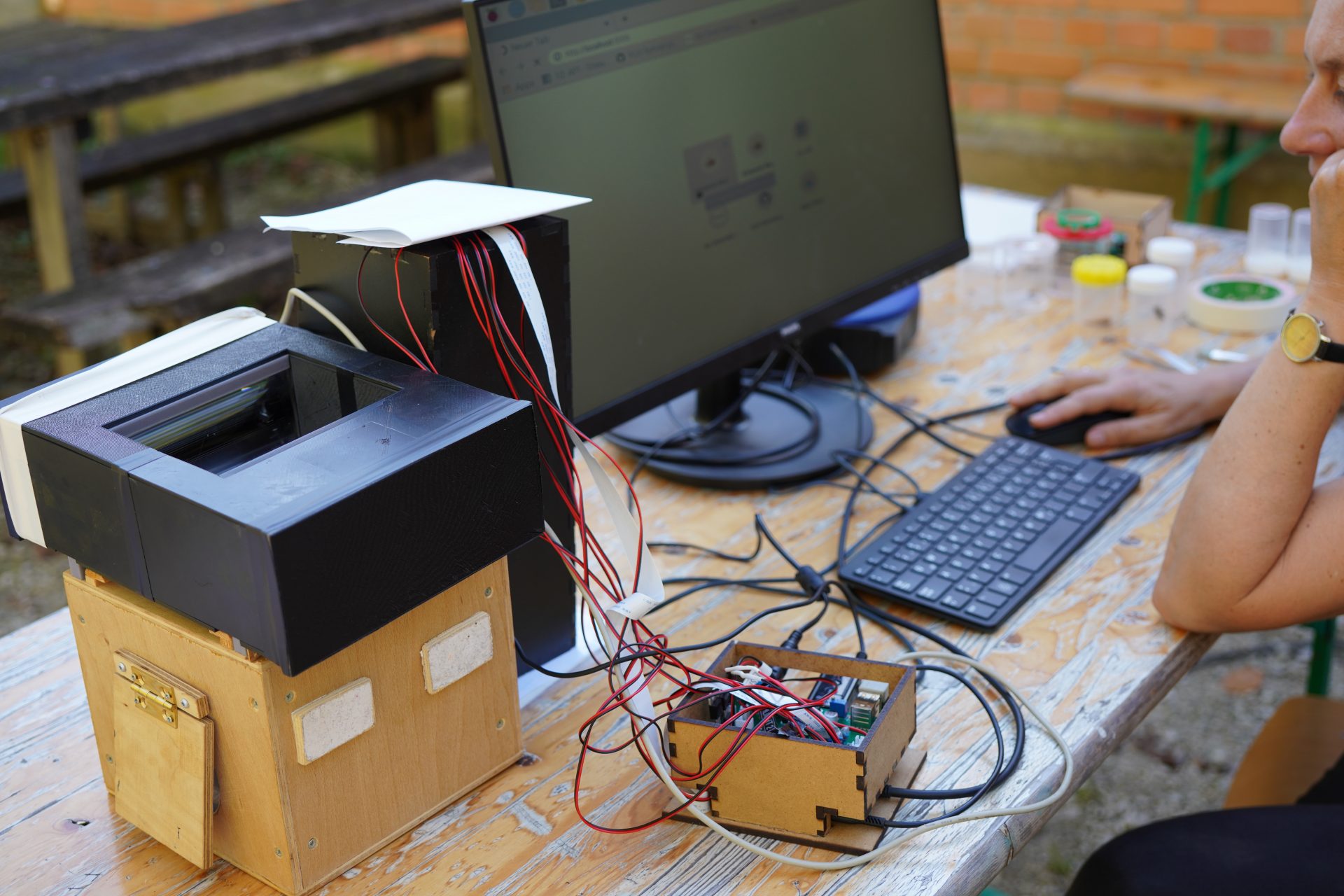 Bildung – KInsecta